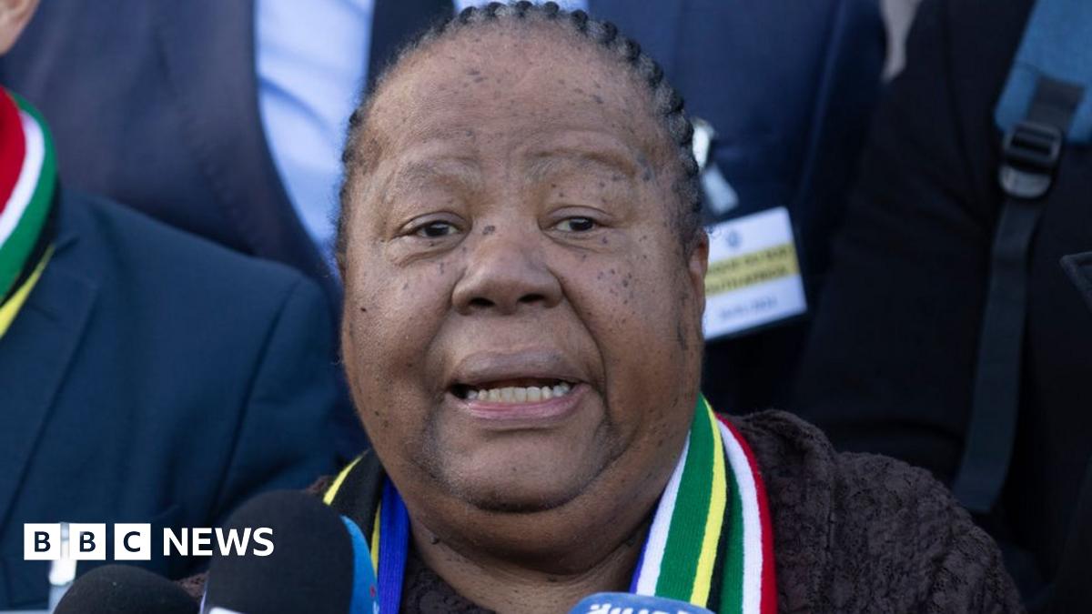 Africa Live this week: 5-11 February 2024 - BBC News