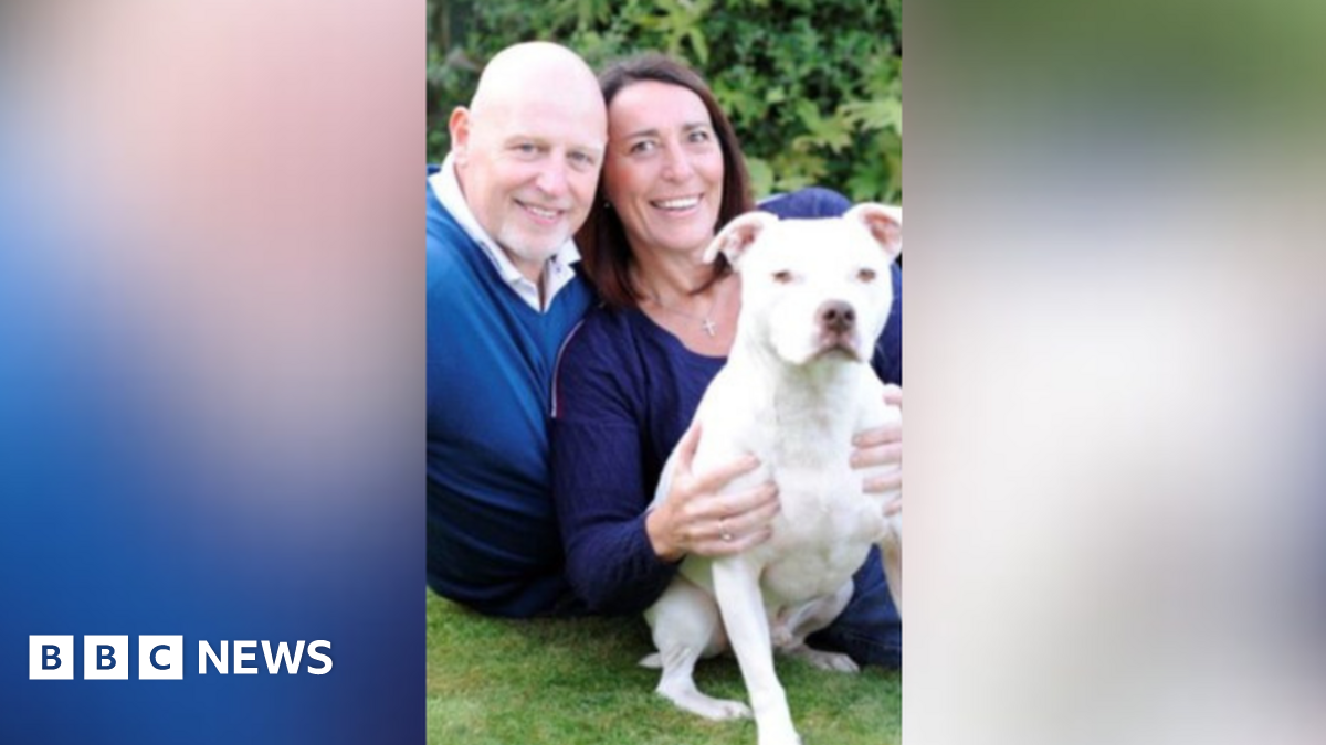 Worksop: Couple's 'sheer relief' after stolen dog returned - BBC News