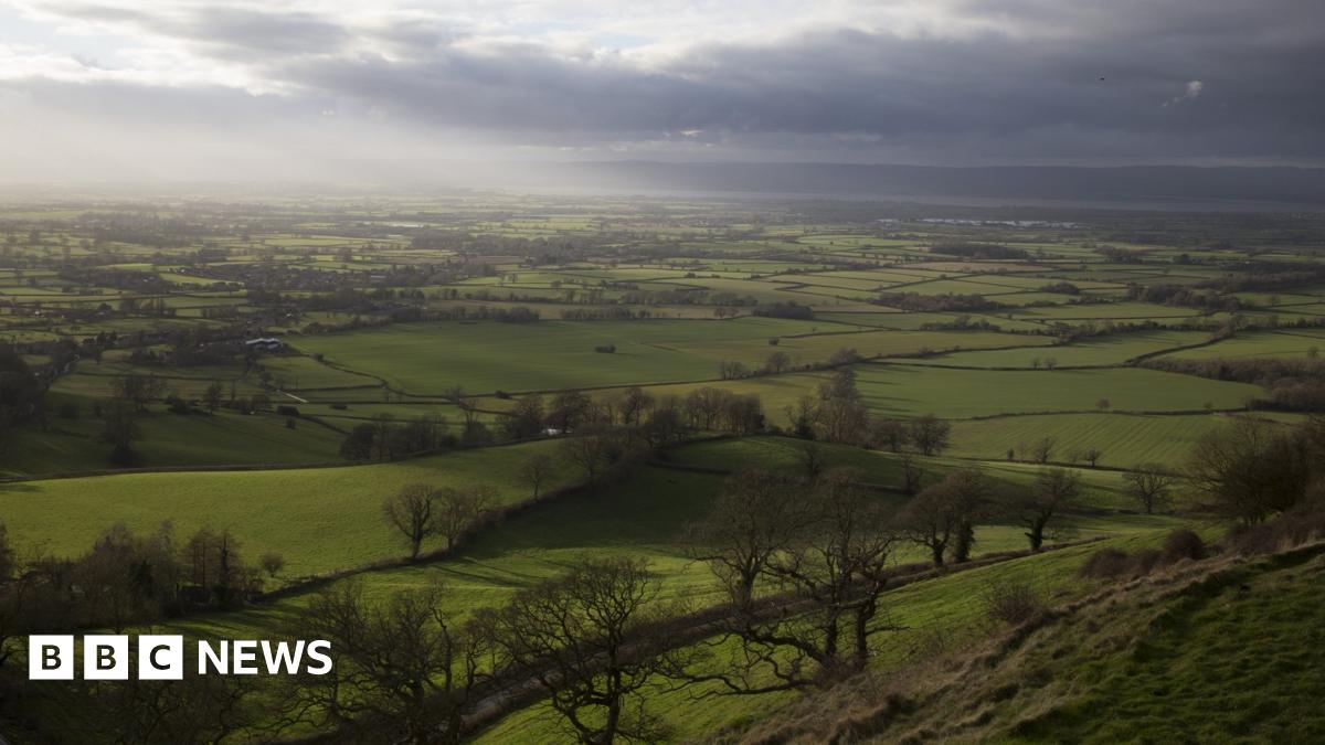 BBC local live: West of England - BBC News