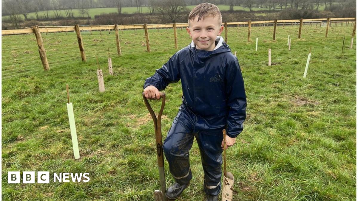 Hundreds of trees planted in Devon by city children - BBC News