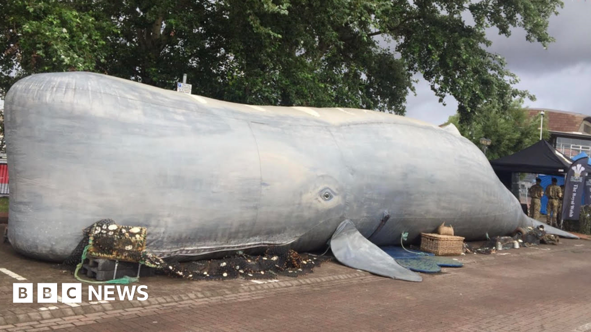 Newark: Explorers invited to walk inside inflatable whale - BBC News