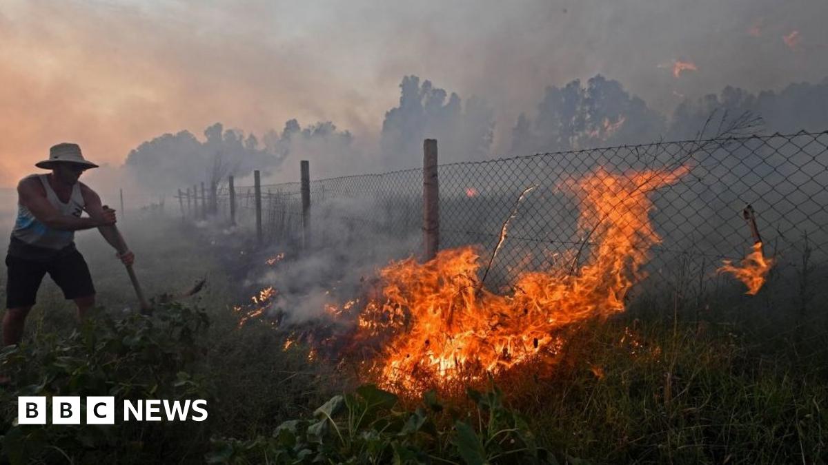 Algeria wildfires: Dozens killed and thousands evacuated - BBC News