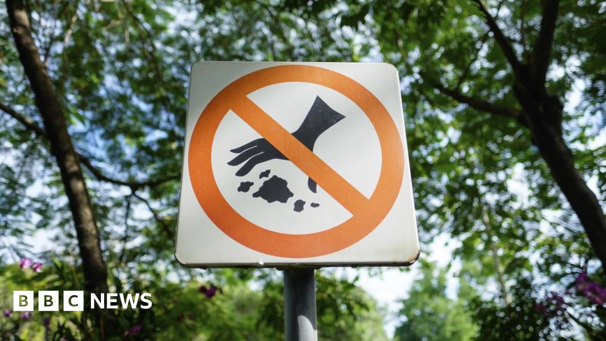 A woman caught littering, streamed live on the internet - BBC News