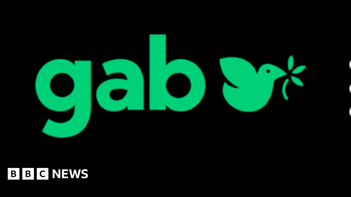 Social network Gab back online after shooting - BBC News