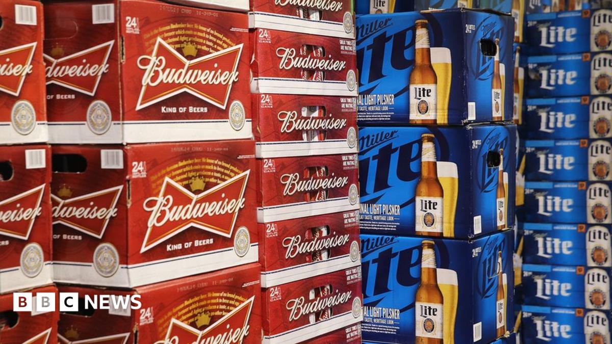 Ontario Premier Doug Ford promises 'a buck a beer' - BBC News