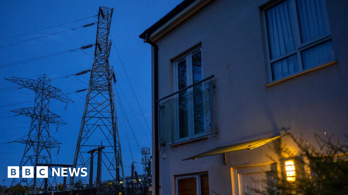 Give cash to households in path of new pylons, government urged - BBC News