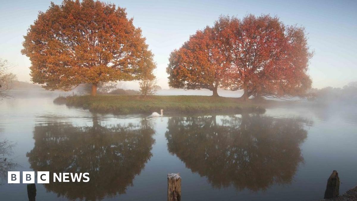 England's Big Picture: 2 - 8 November - BBC News