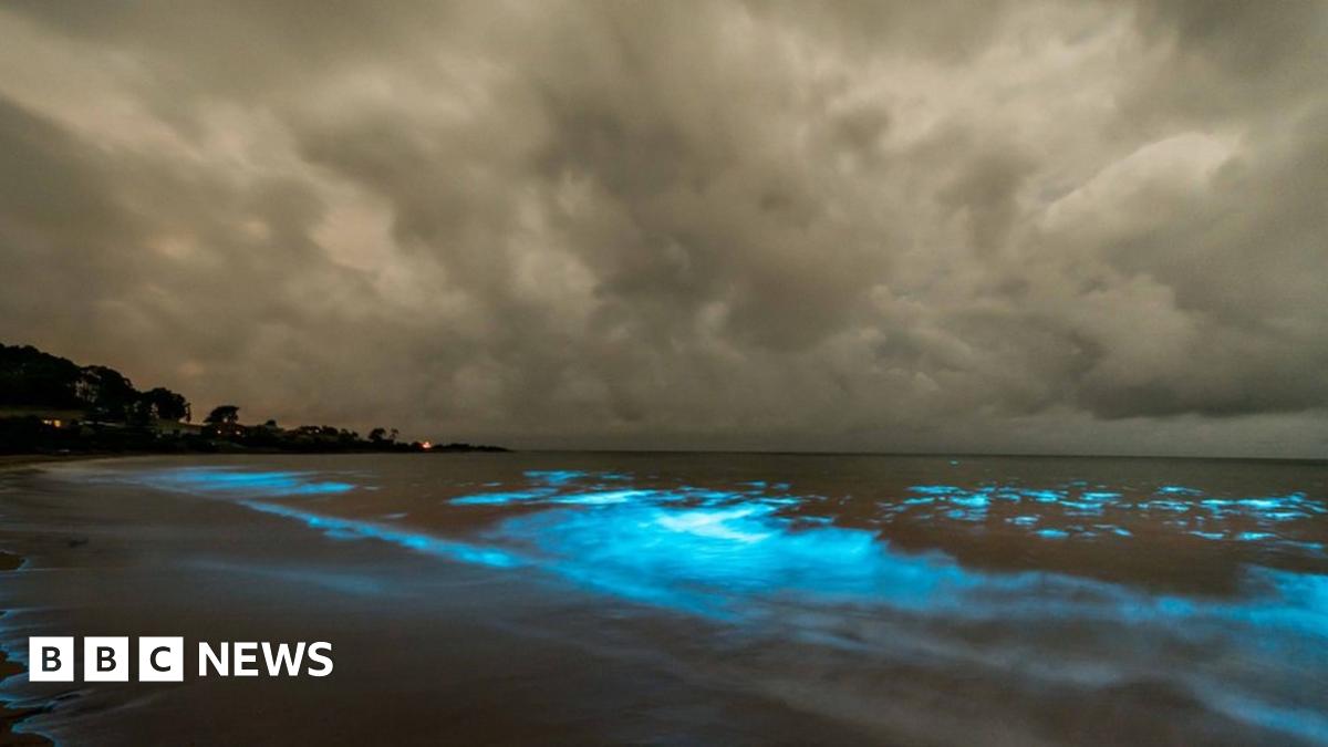 'Sea sparkle' algae lights up Tasmanian beach - BBC News