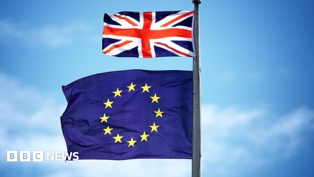 Brexit: Butlins owner Peter Harris gets EU referendum fine - BBC News