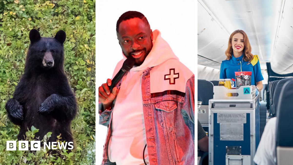 April Fools' Day: 10 stories that look like pranks but aren't - BBC News