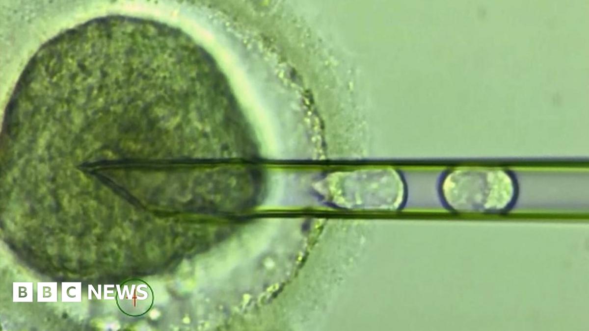 Three-person babies IVF technique ‘safe’ - BBC News