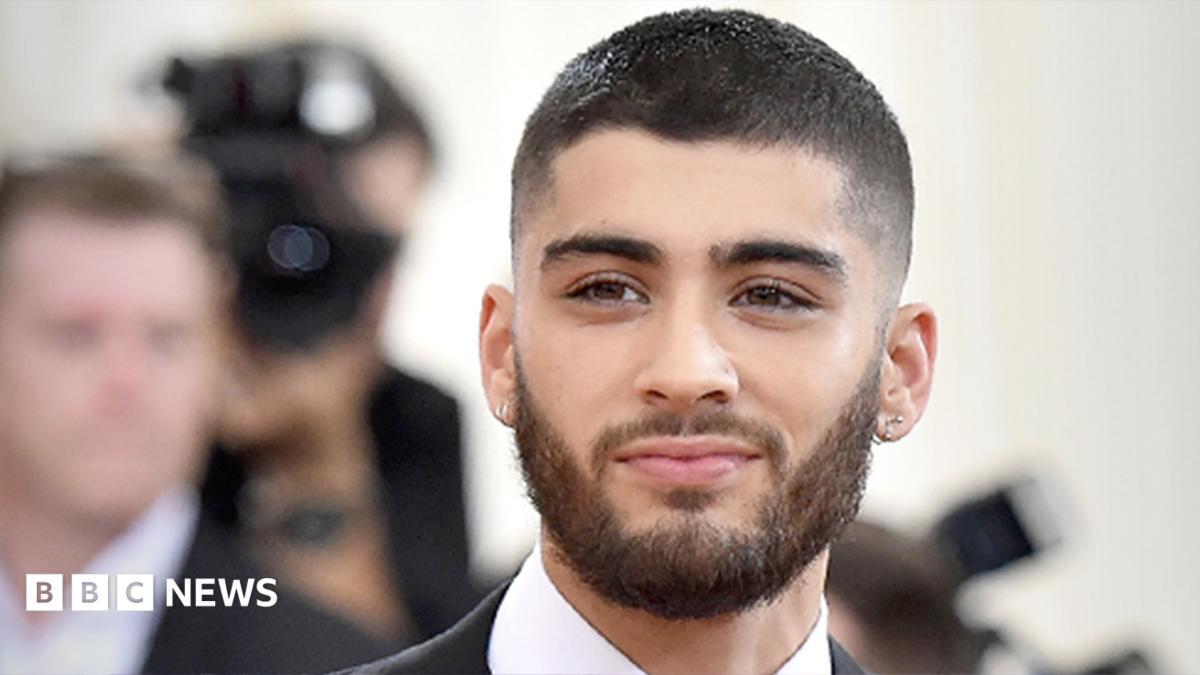 Former One Direction star Zayn Malik writes to PM over free school ...