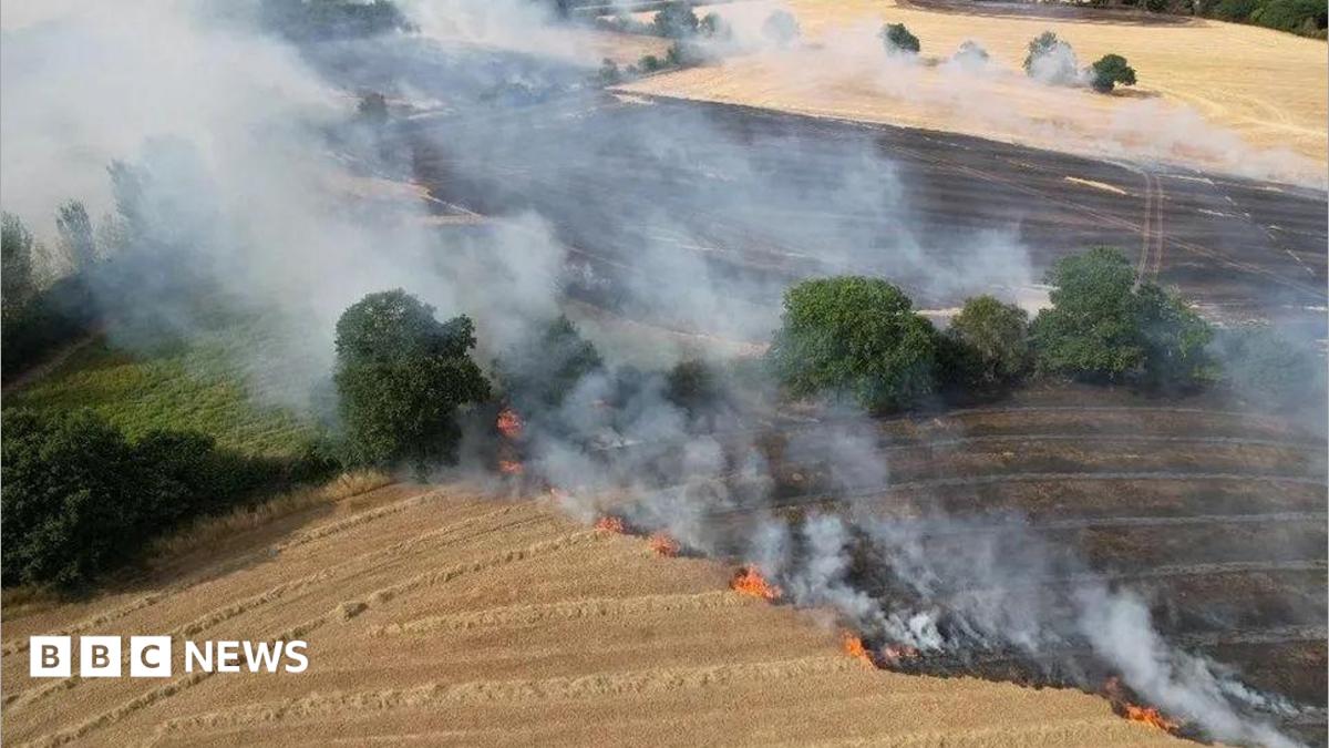 UK environmental disaster and terror response needs £100m upgrade - BBC ...