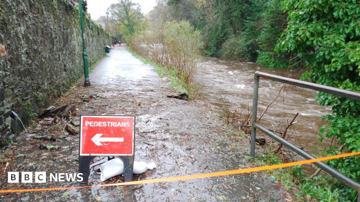 Tavistock footpath closed after tree uprooted during Storm Bert - BBC News