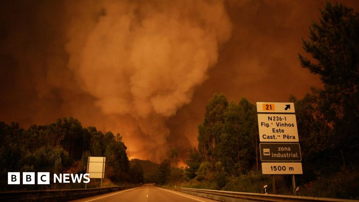 In pictures: Portugal forest fire - BBC News