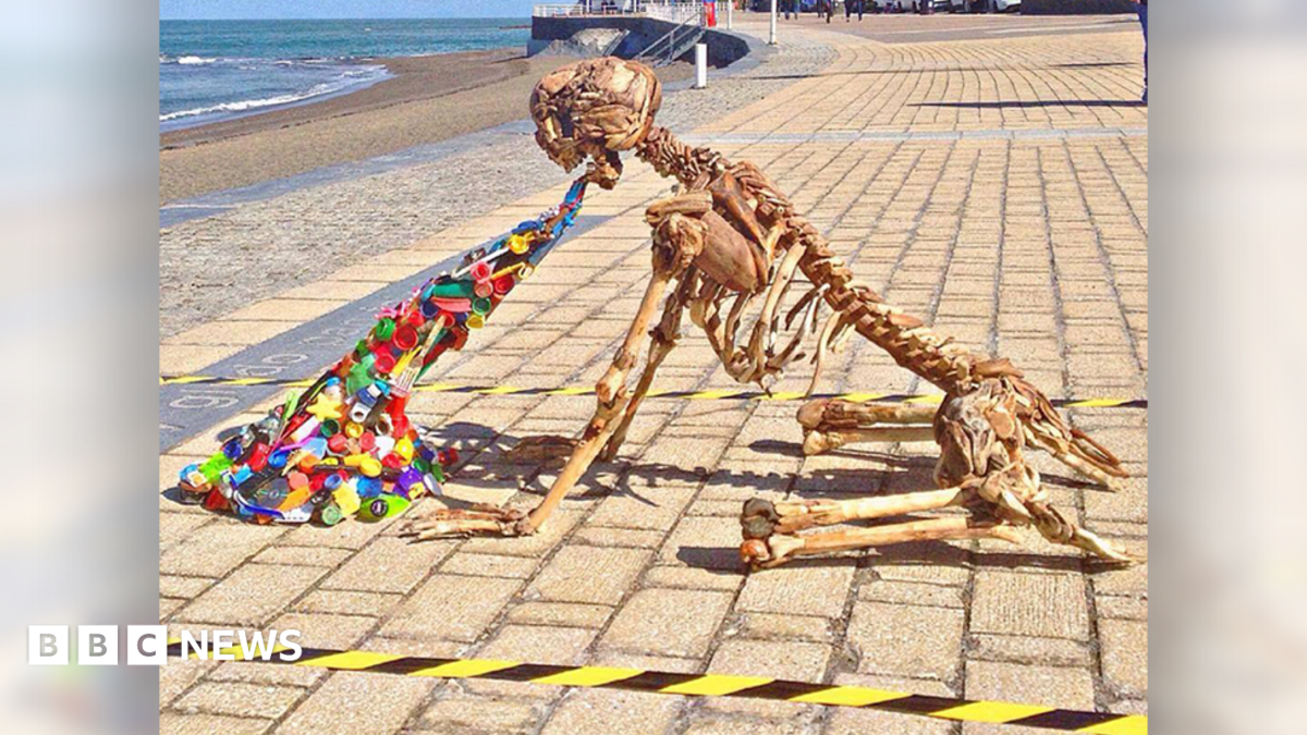 Plastic pollution: Vomiting skeleton displayed in Aberystwyth - BBC News