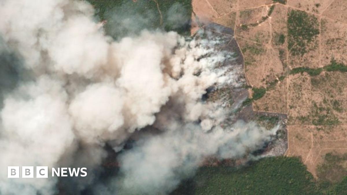 The Amazon in Brazil is on fire - how bad is it? - BBC News