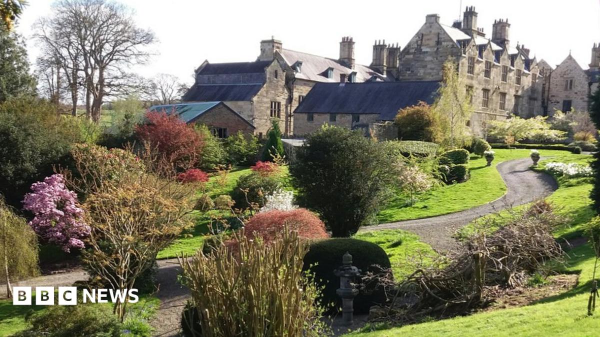 Mostyn Hall gardens open for National Garden Scheme - BBC News