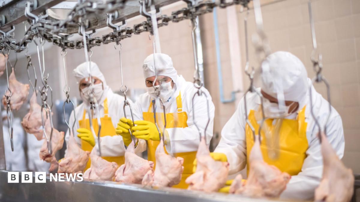 Coronavirus: Why have there been so many outbreaks in meat processing ...