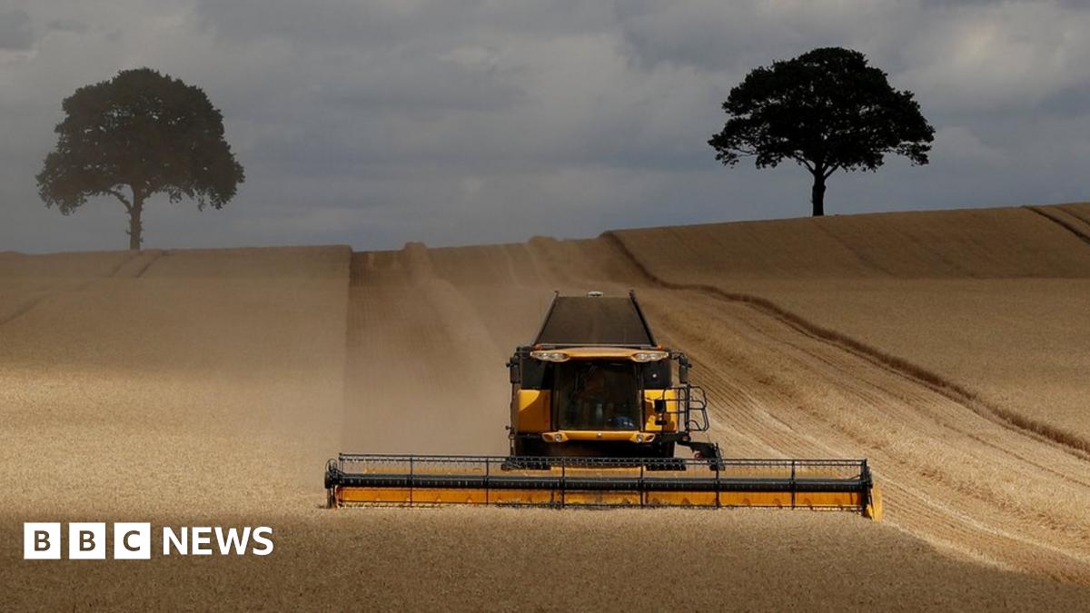 Rules around human waste in farming are 'out of date' - BBC News