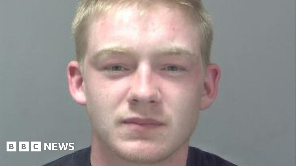 Ipswich traveller site killings: Nelson Smith jailed - BBC News