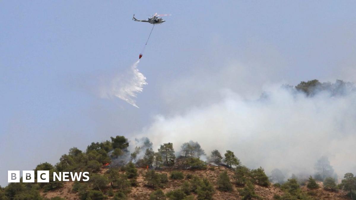 Second firefighter dies tackling Cyprus forest fires - BBC News