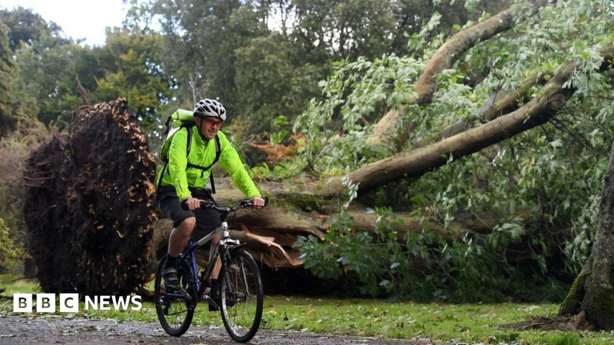 Storm Aileen: 60,000 homes lost power during 75mph winds - BBC News