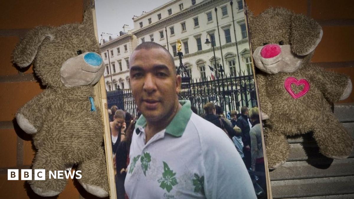 Leon Briggs inquest: Luton man who died said 'help me' amid police ...