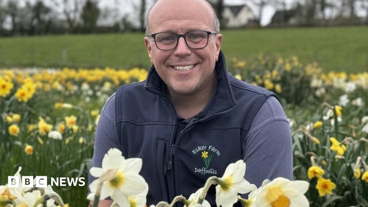 Daffodil growers from around the world visit Northern Ireland - BBC News