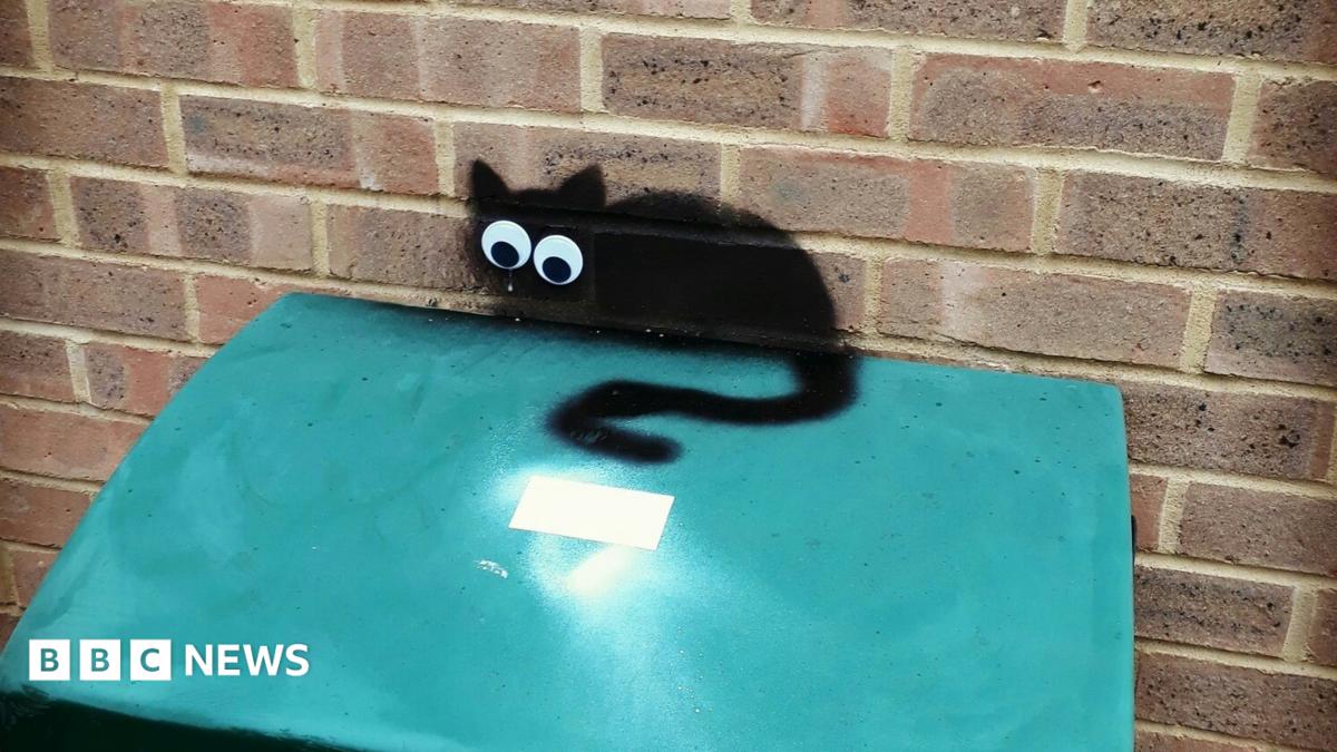 'Catsy': Artist wins over Wokingham with kitty creations - BBC News