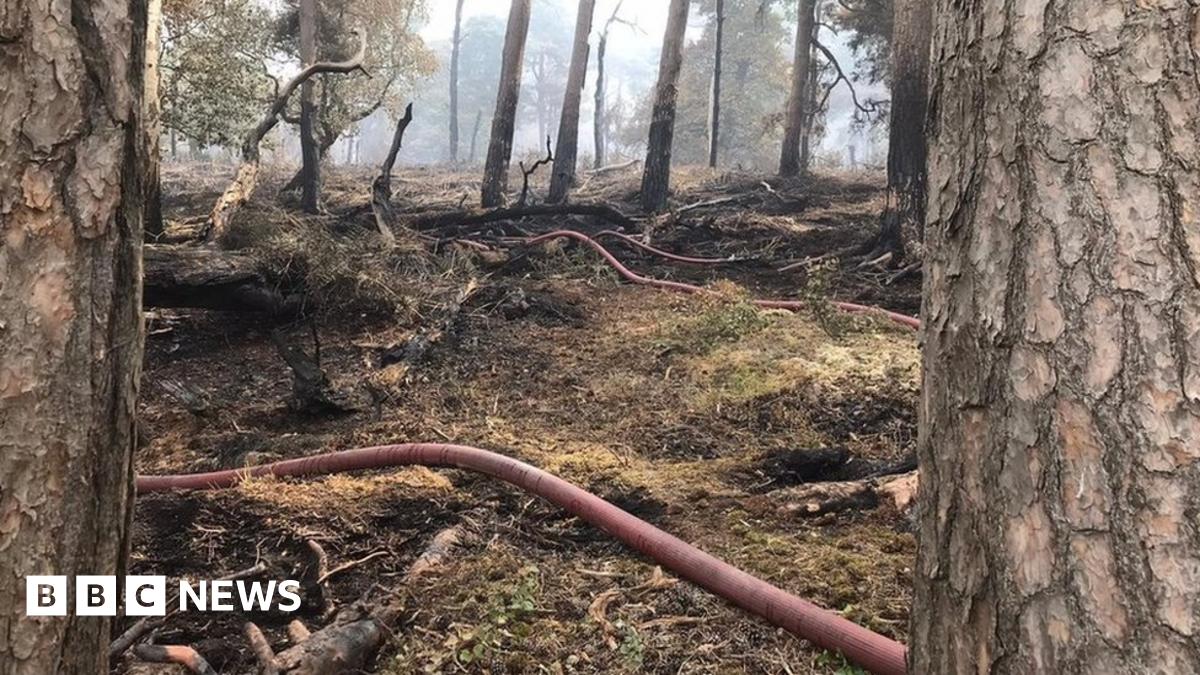 Prestwick Carr: Heavy rainfall helps tackle nature reserve wildfire ...