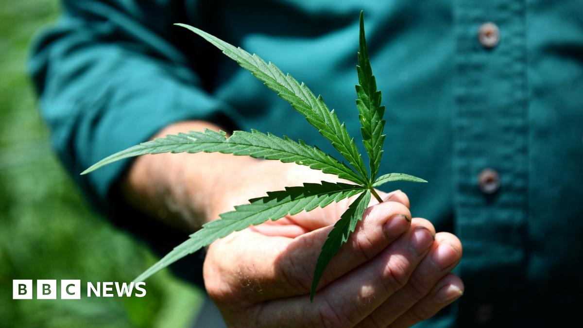 New heights but no high - why hemp sales are soaring - BBC News