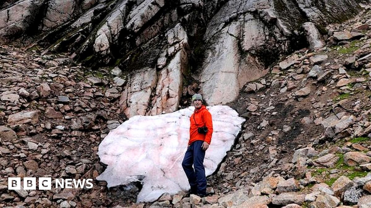 UK's 'longest-lasting' snow patch melts away - BBC News