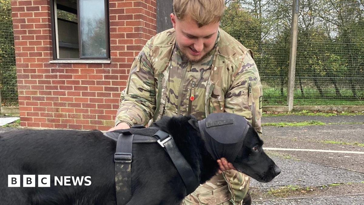 Meet Rutland's dogs of war - and their human handlers - BBC News