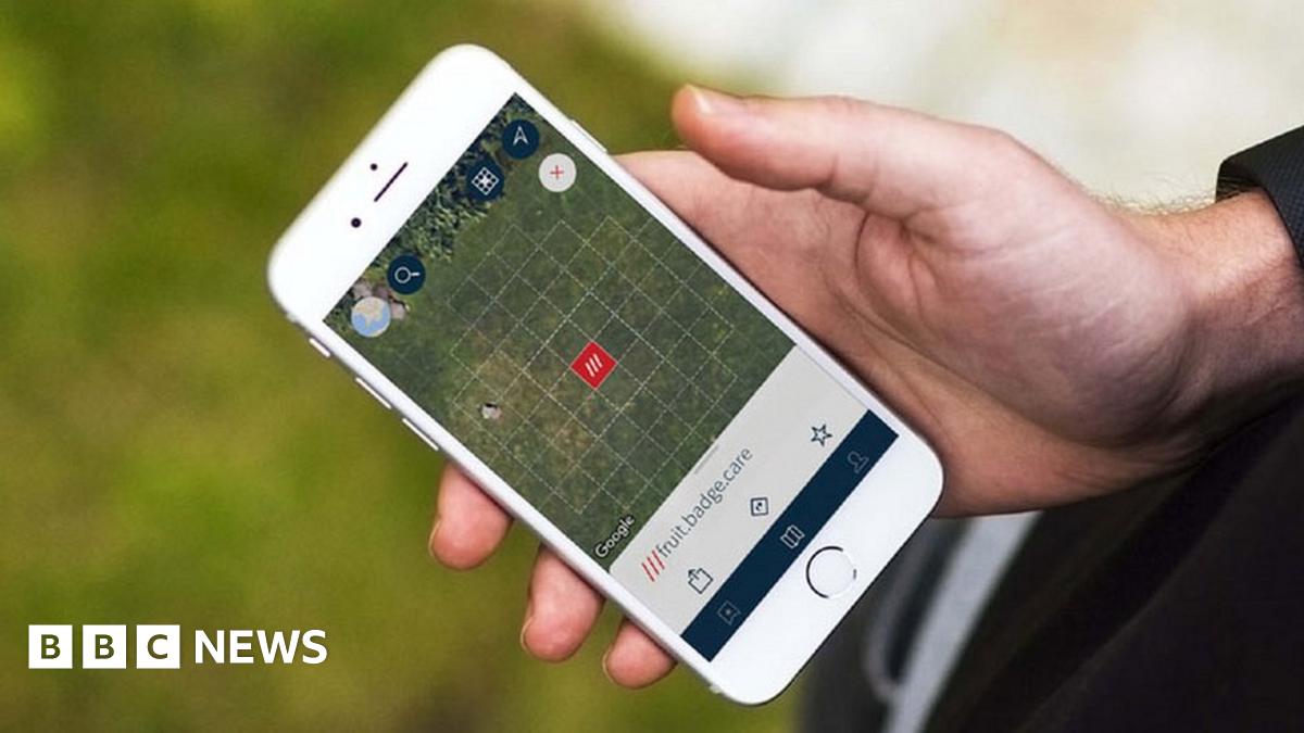 What3words: The app that can save your life - BBC News