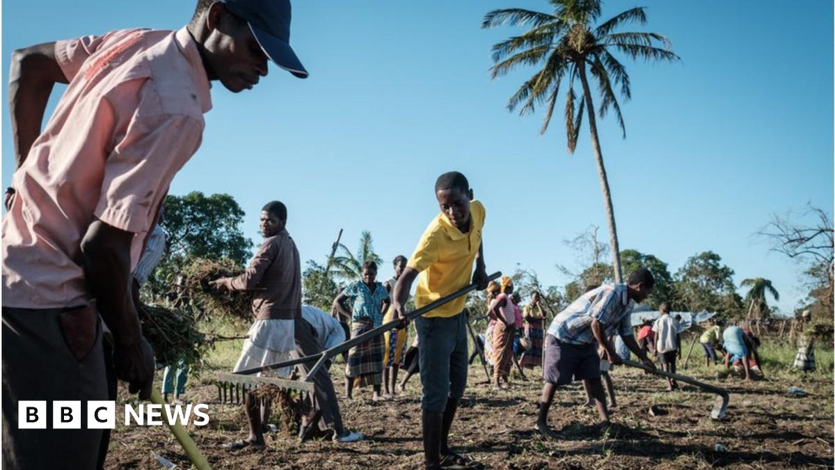 Will AI kill developing world growth? - BBC News