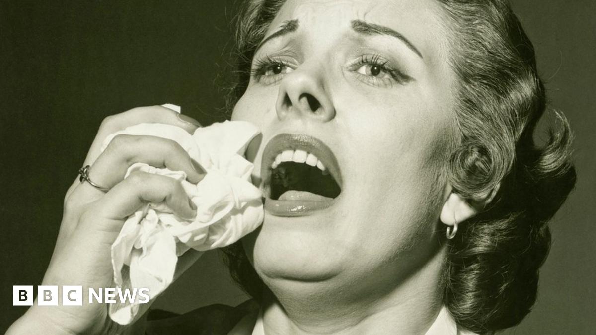 Sneezing myths and facts - BBC News
