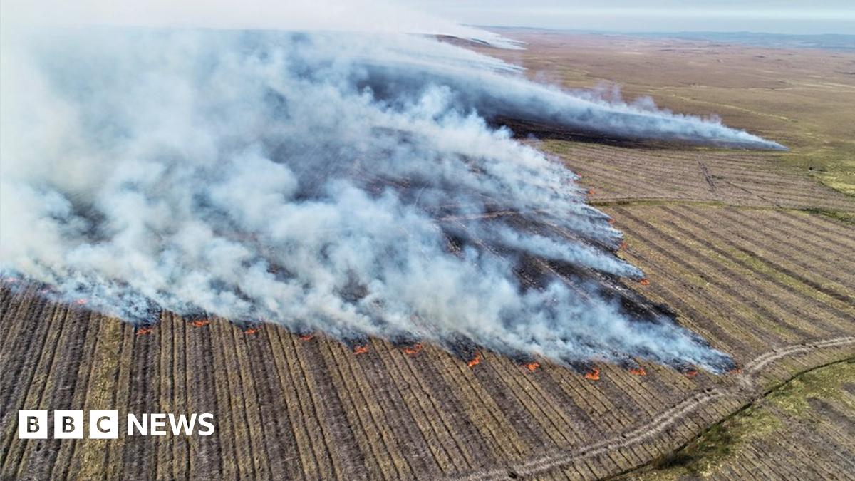Huge Flow Country wildfire 'doubled Scotland's emissions' - BBC News