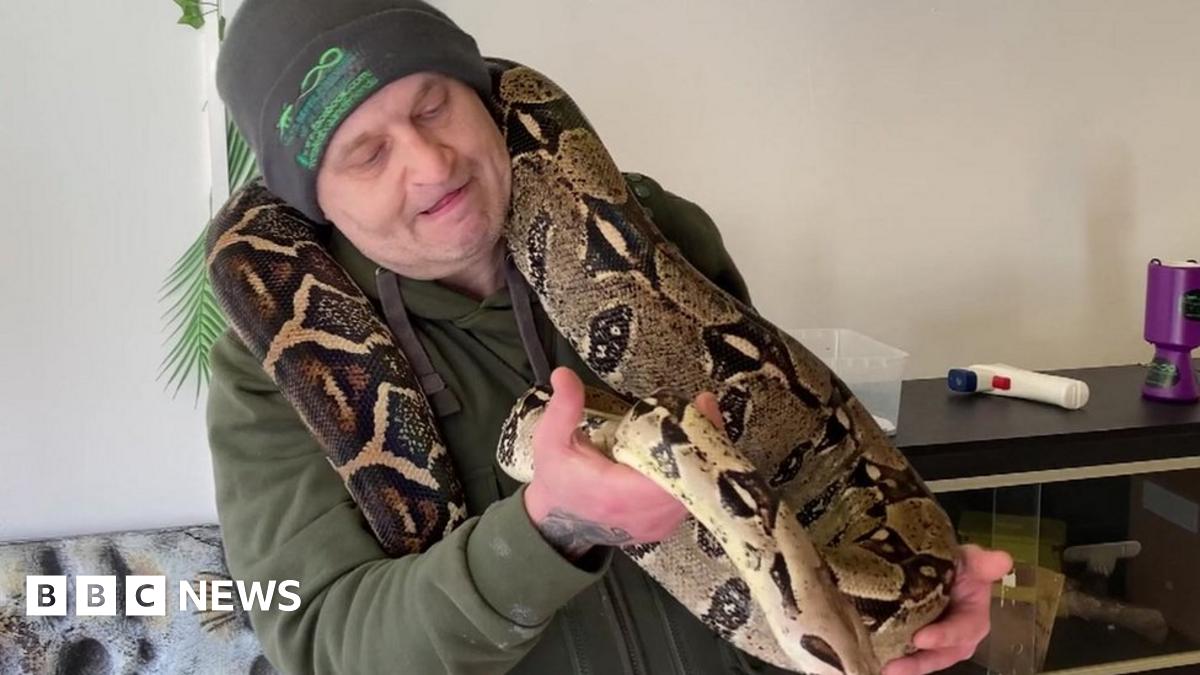 Scarborough dumped snakes prompt opening of reptile rescue centre - BBC ...