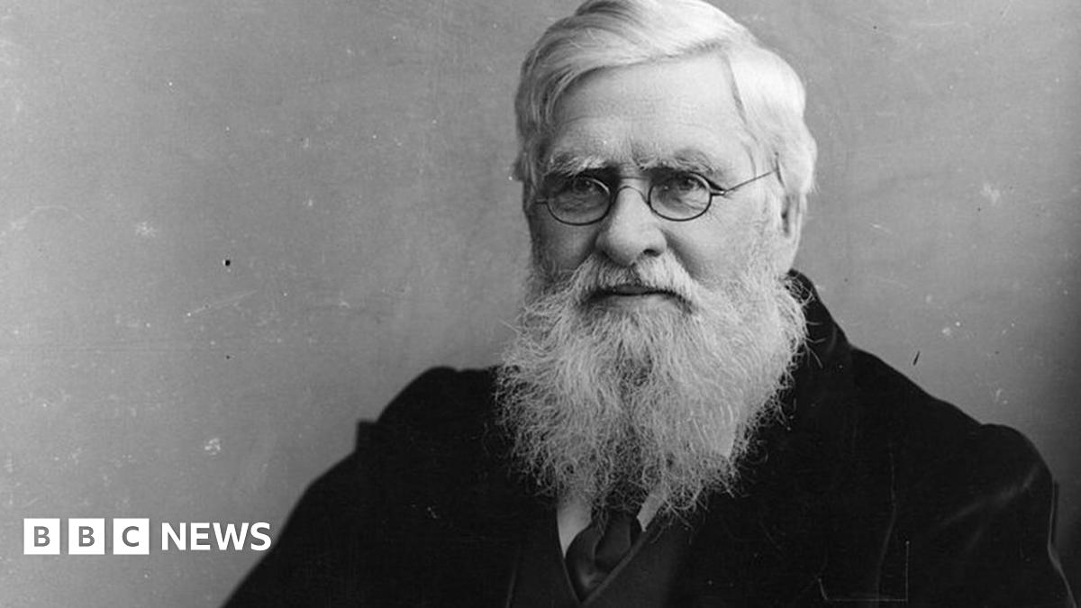 Evolution: Scientist Alfred Russel Wallace's medals auctioned - BBC News