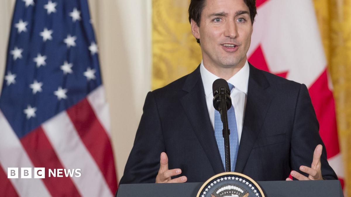 Trudeau meets Trump: A diplomatic balancing act - BBC News