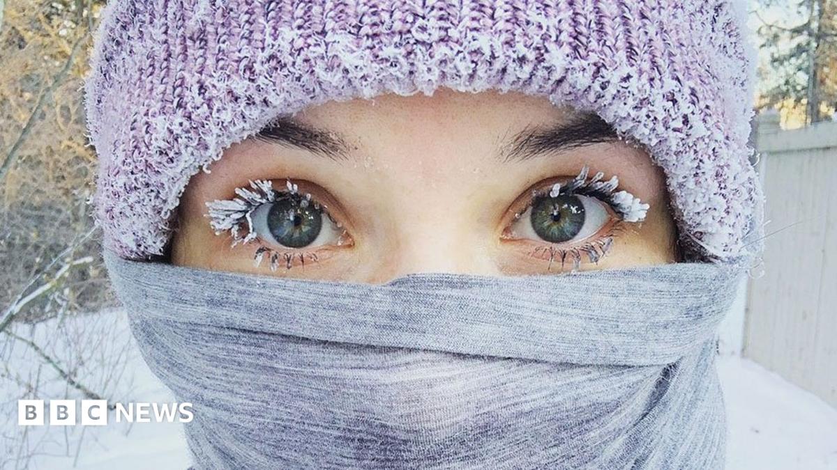 Your pictures on the theme of winter walks - BBC News
