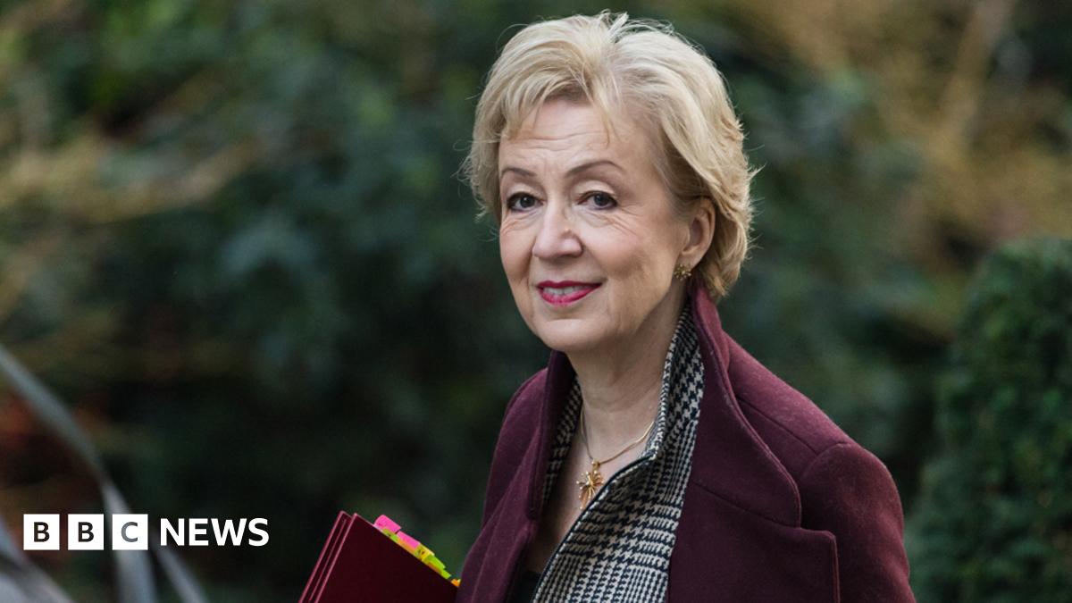 MP Leadsom says Tory colleague Nunn must go over abuse claims - BBC News