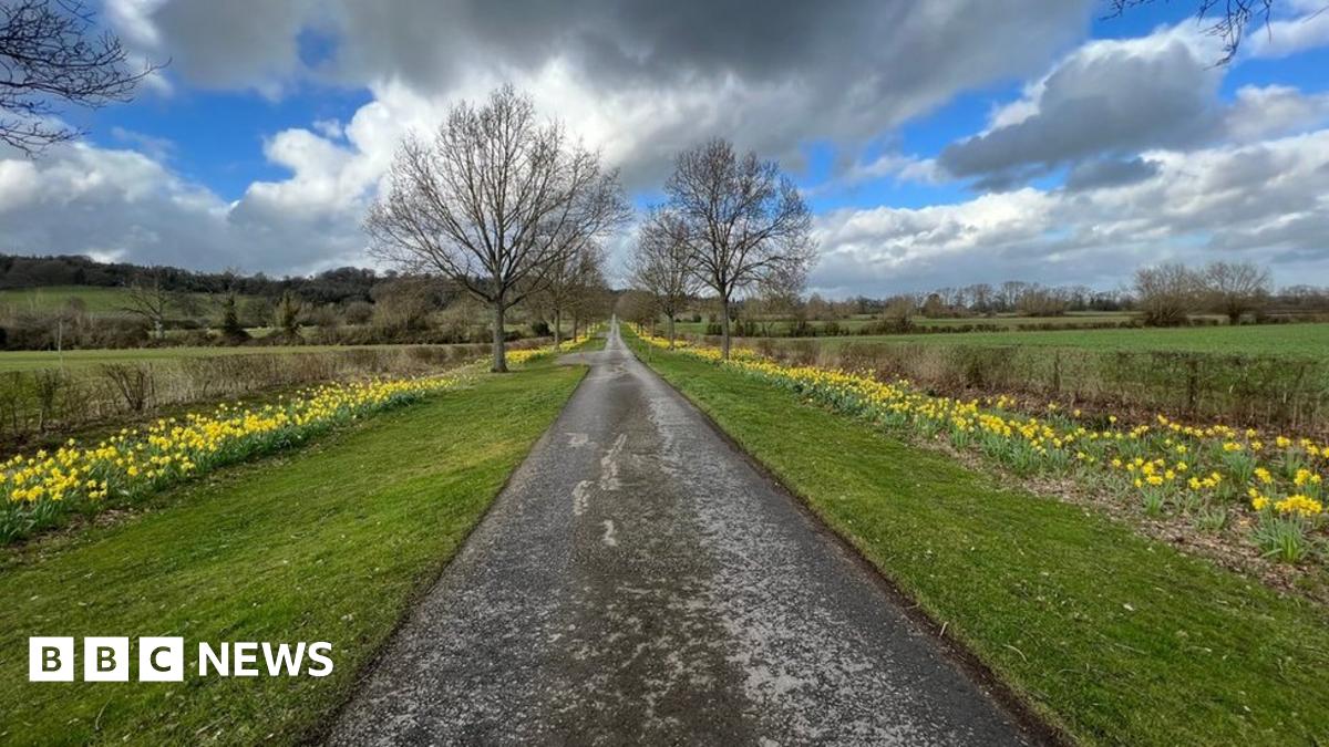 England's Big Picture: 24 April - 30 April 2023 - BBC News