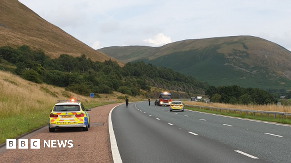 Armed officers deployed after driver triggers M6 gun alert - BBC News