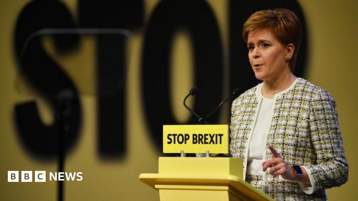 General election 2019: SNP manifesto launch and NHS claims - BBC News