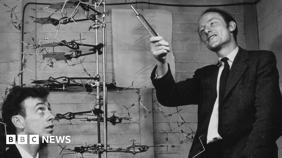 'DNA discovery' historic pub to be revamped - BBC News