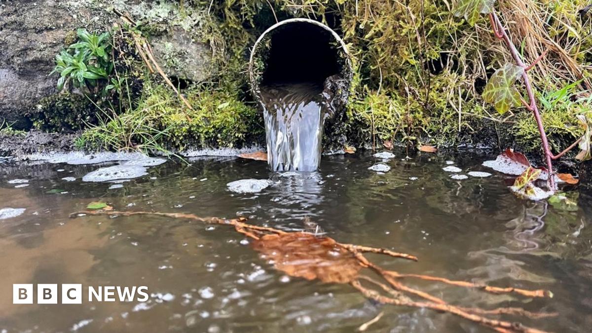 Water companies illegally dumping sewage in England and Wales' rivers ...