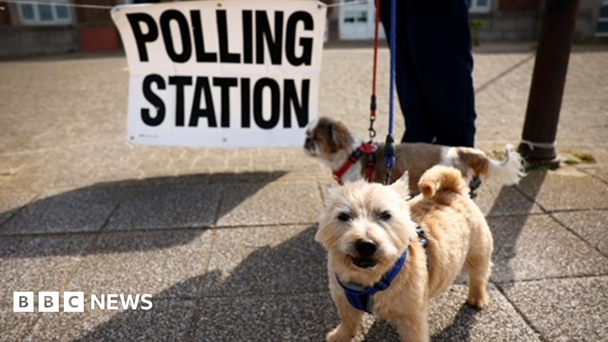 South East 2024 local election results - BBC News