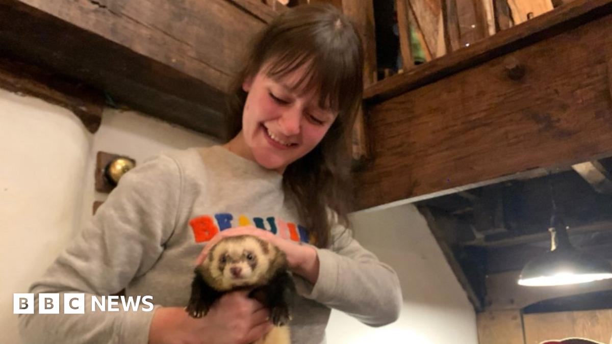 Ferret racing draws record crowd in Yorkshire Dales pub - BBC News
